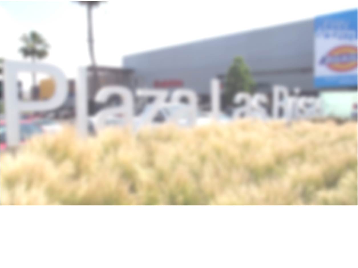 fondo-galeriaRecurso 3-50 - Plaza Las Brisas